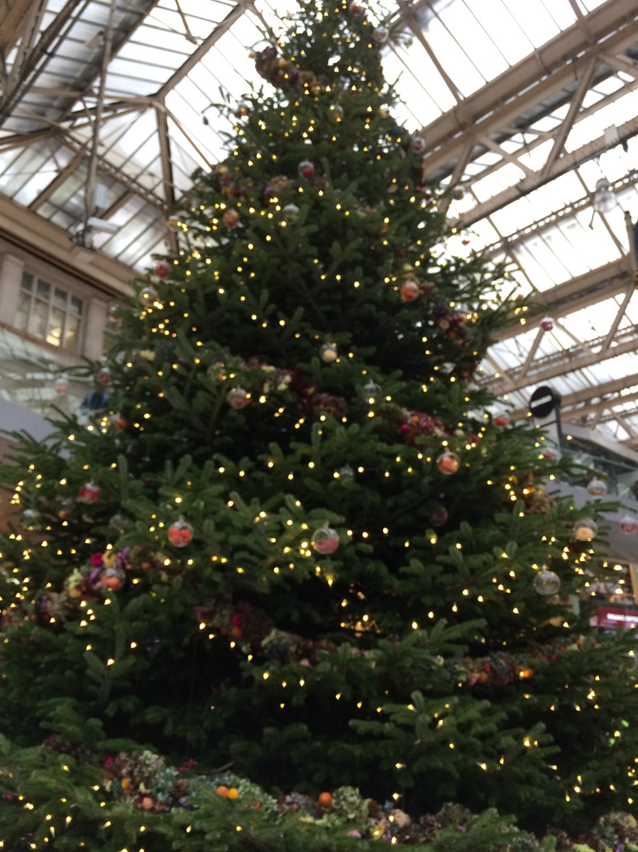 Christmas: from a Mum’s perspective – Slugs and Snails Tales